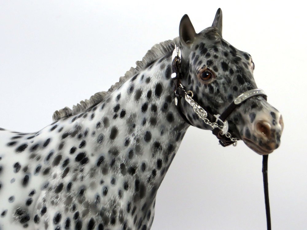 Seeker and Peter Stone | StoneHorseRef