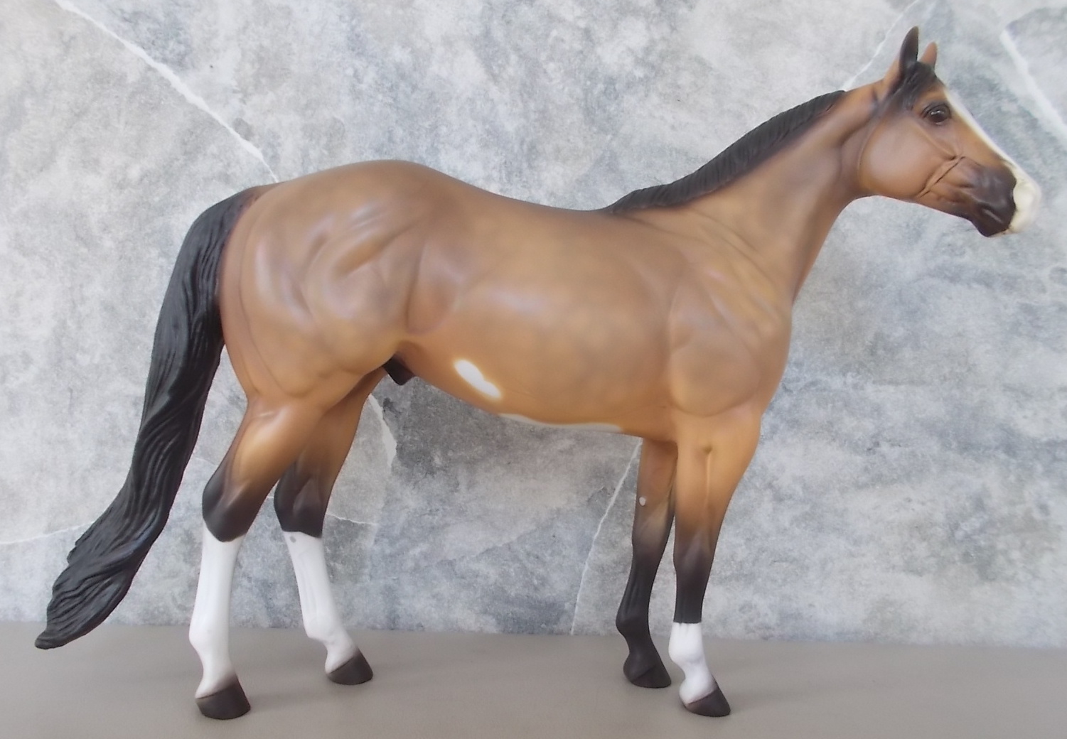 ShoMe Five - Version 5 | StoneHorseRef