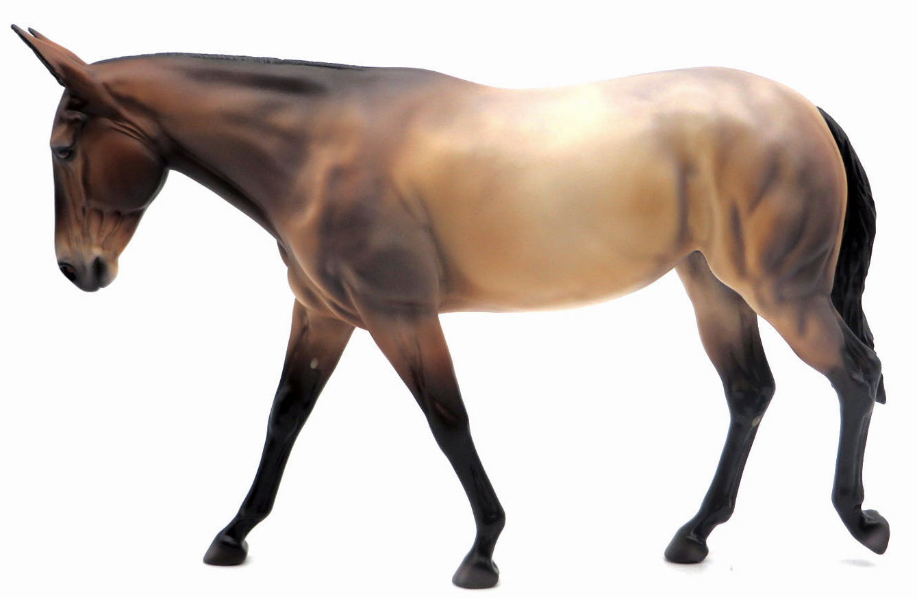 Sugarloaf | StoneHorseRef