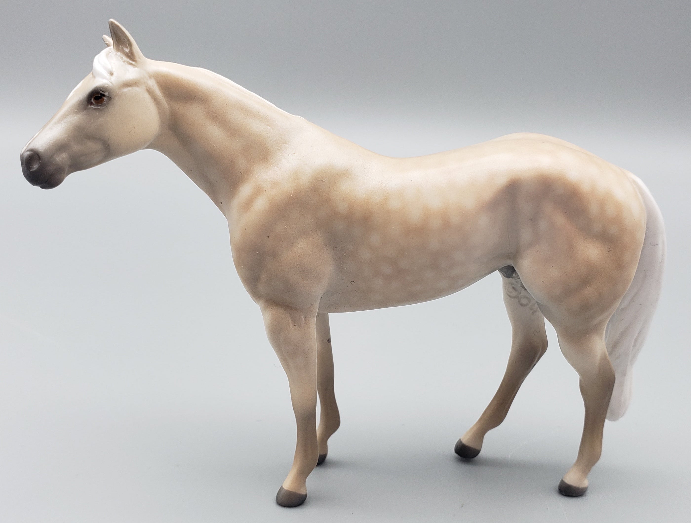 Trapper | StoneHorseRef