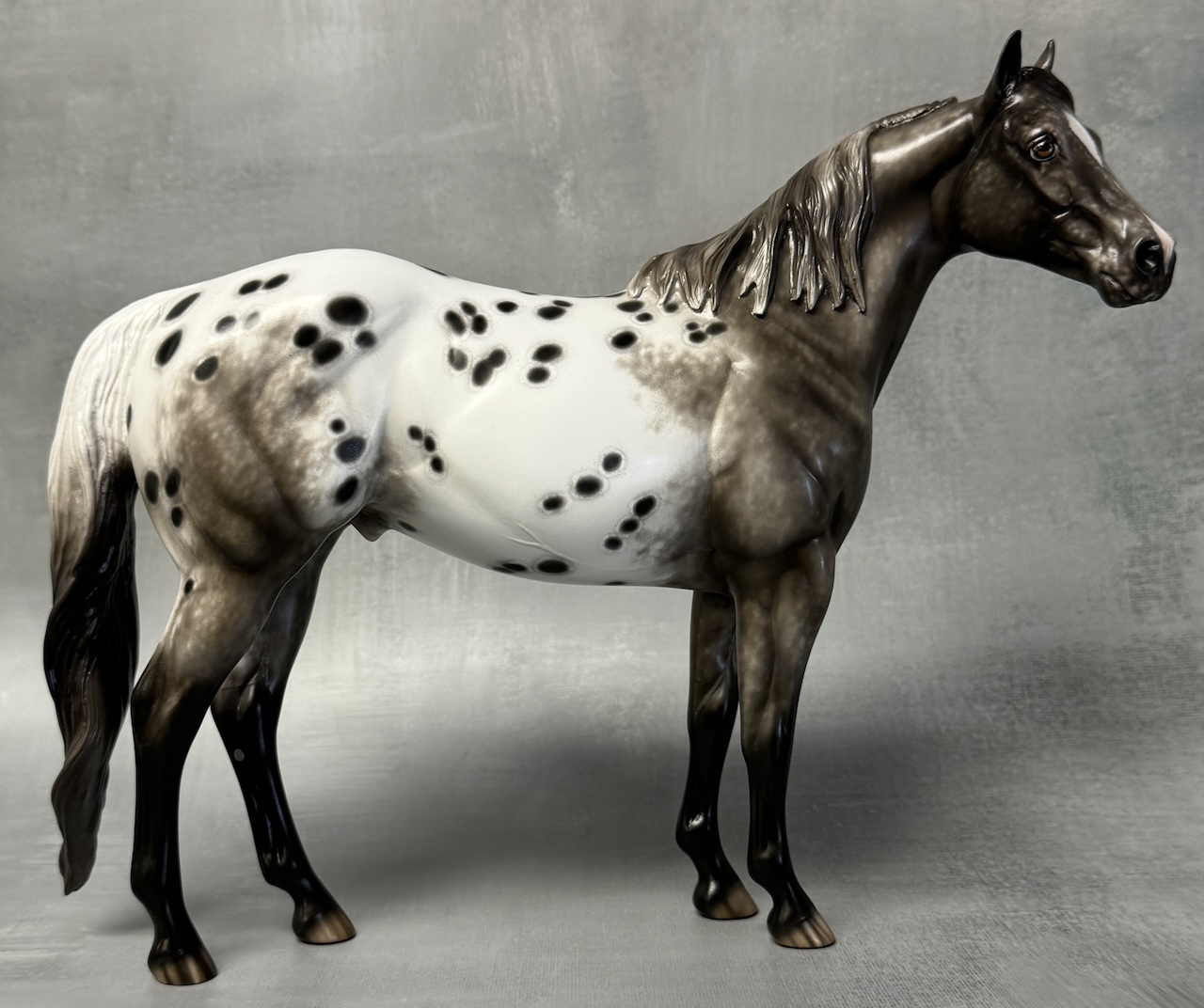 Wahsatch | StoneHorseRef