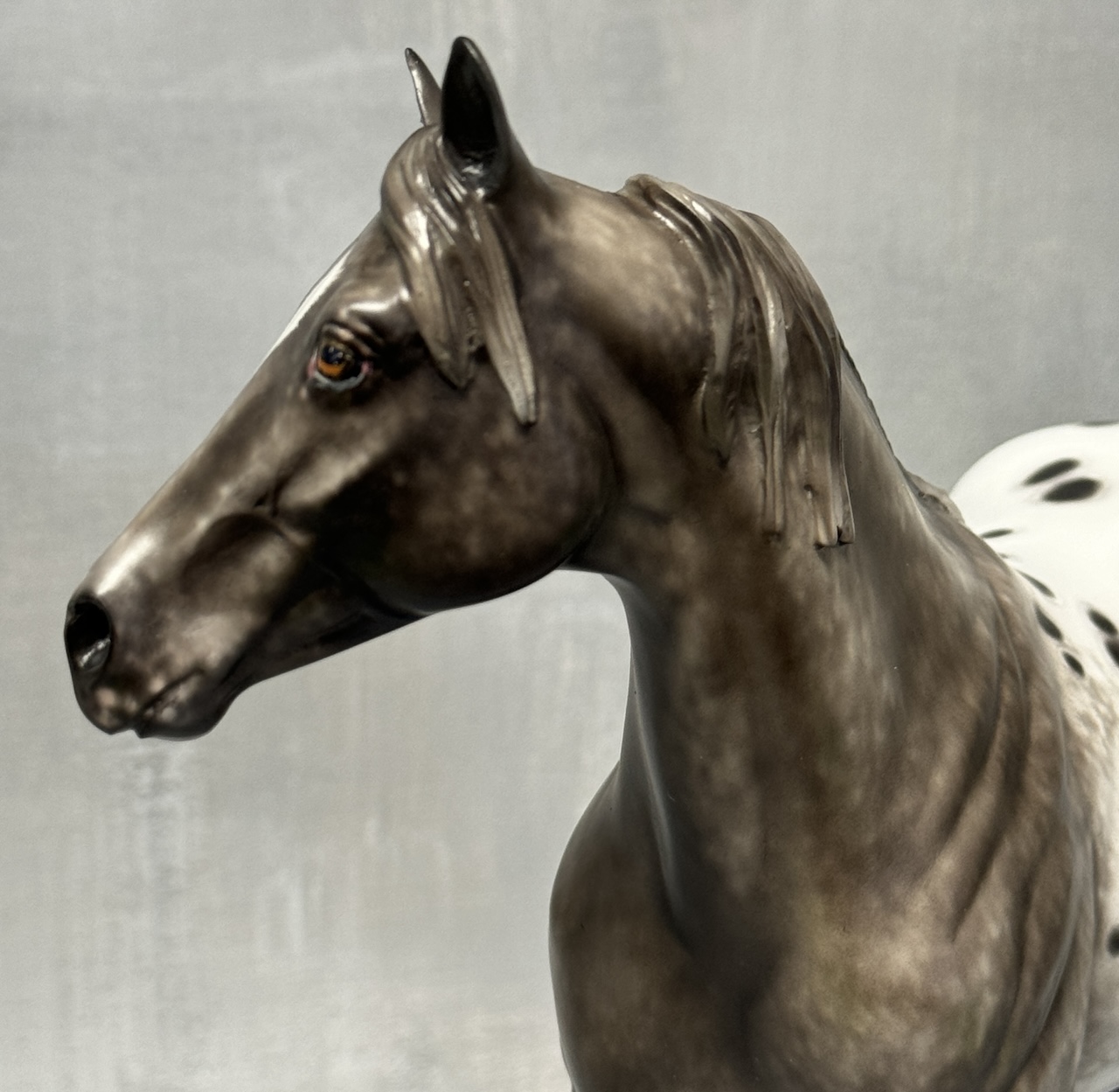 Wahsatch | StoneHorseRef