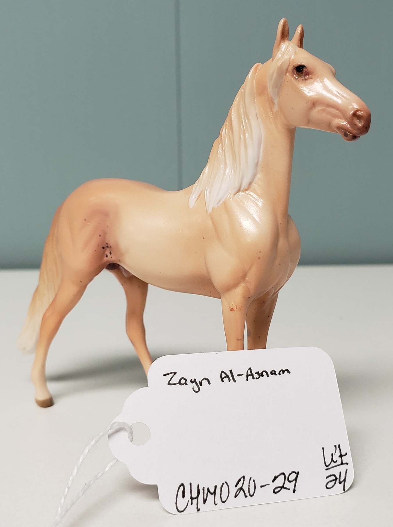 Classic Literature 2024: The Arabian Nights - Zayn Al-Asnam | StoneHorseRef