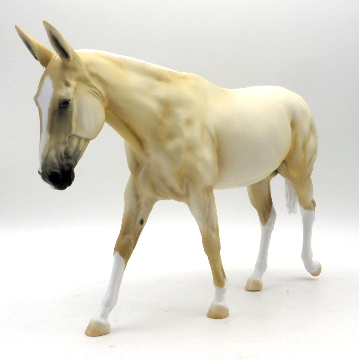 Zinja | StoneHorseRef