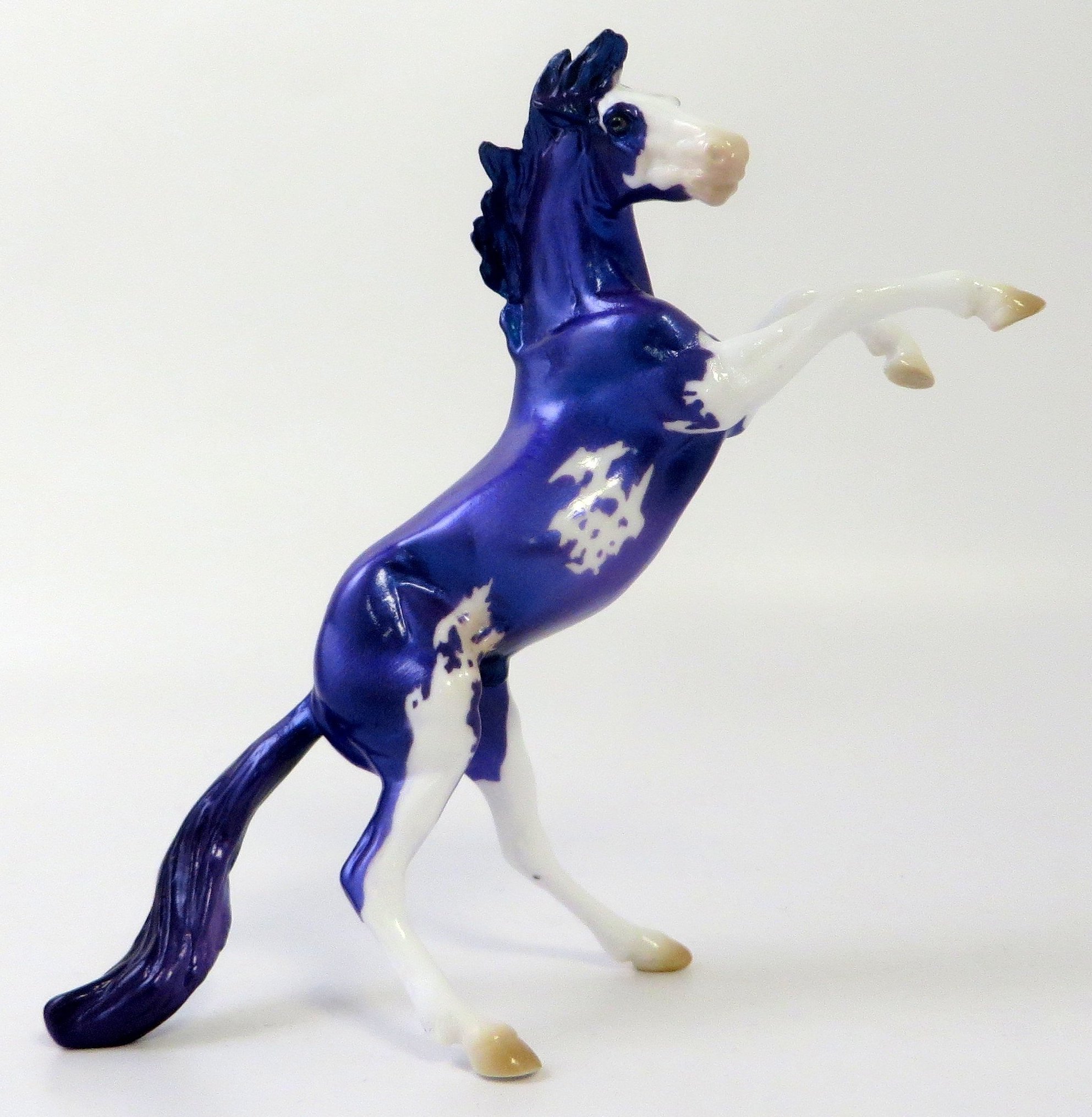 Amethyst: Rearing Chip Paint | StoneHorseRef