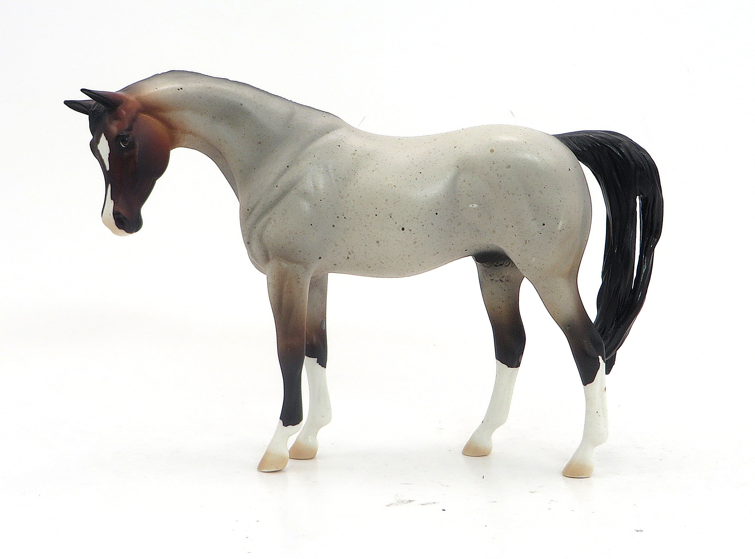 DAH Bay Roan Color | StoneHorseRef