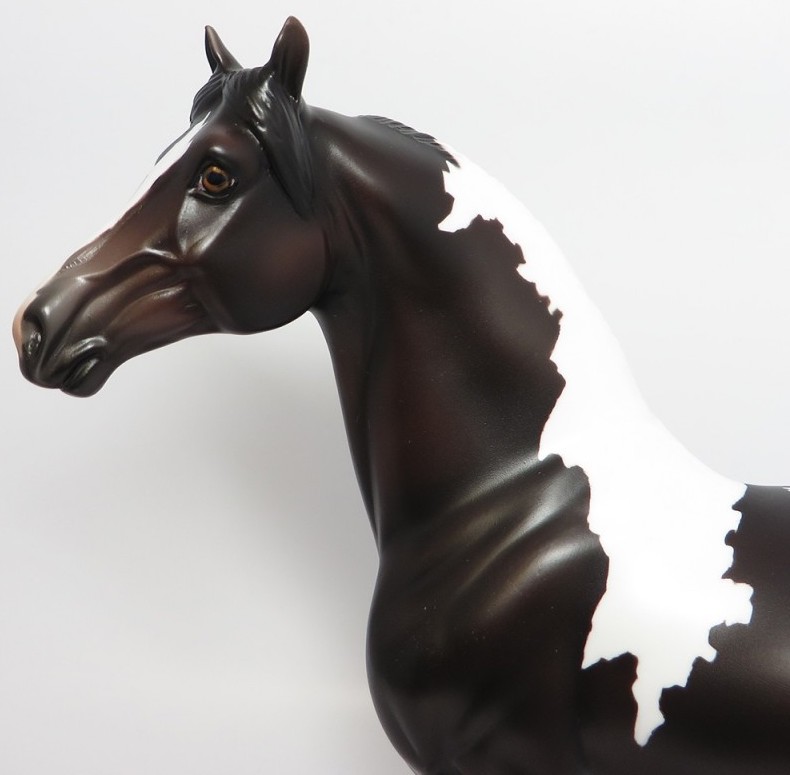 Color Me Crazy | StoneHorseRef