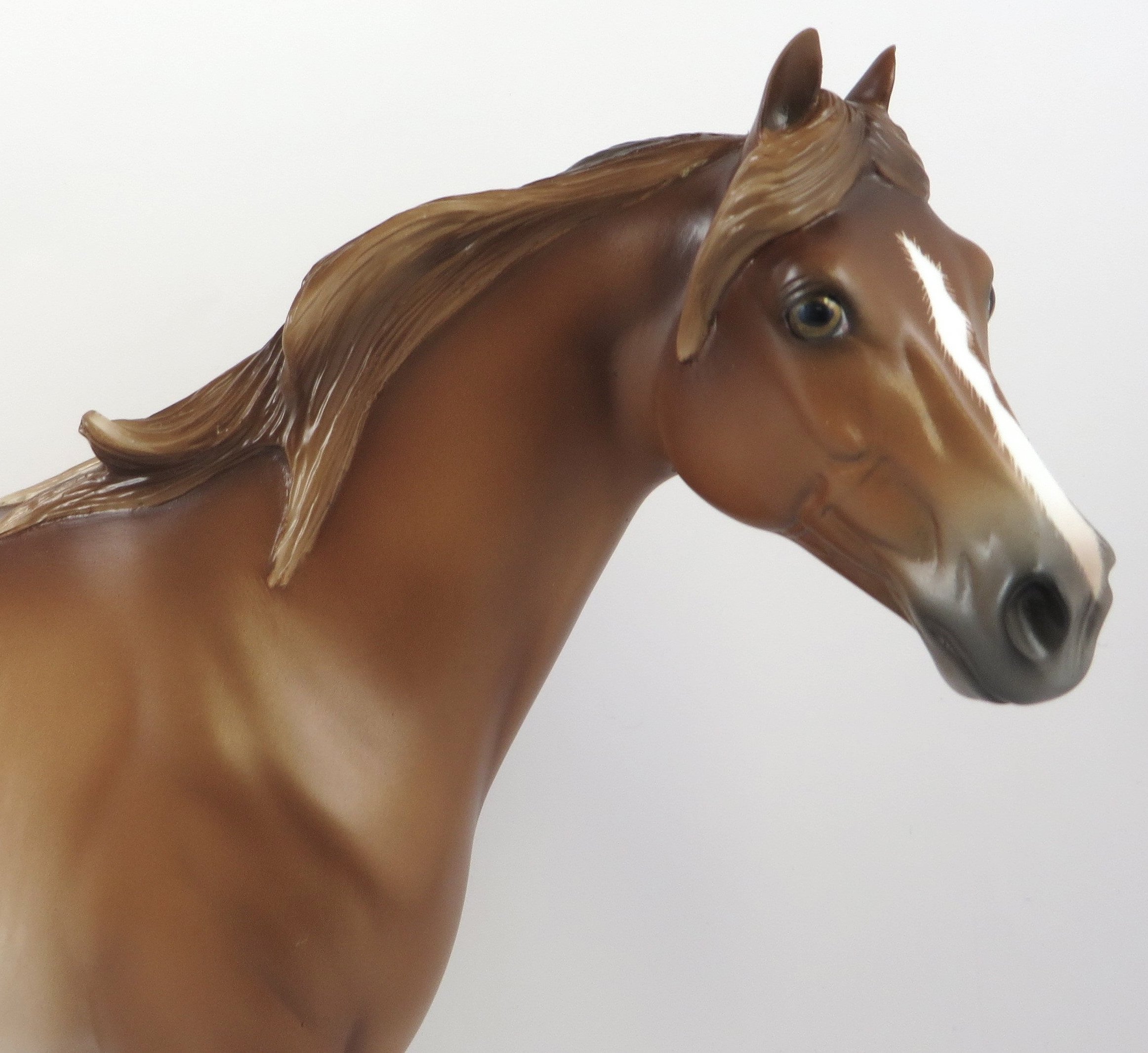 Hornburg | StoneHorseRef