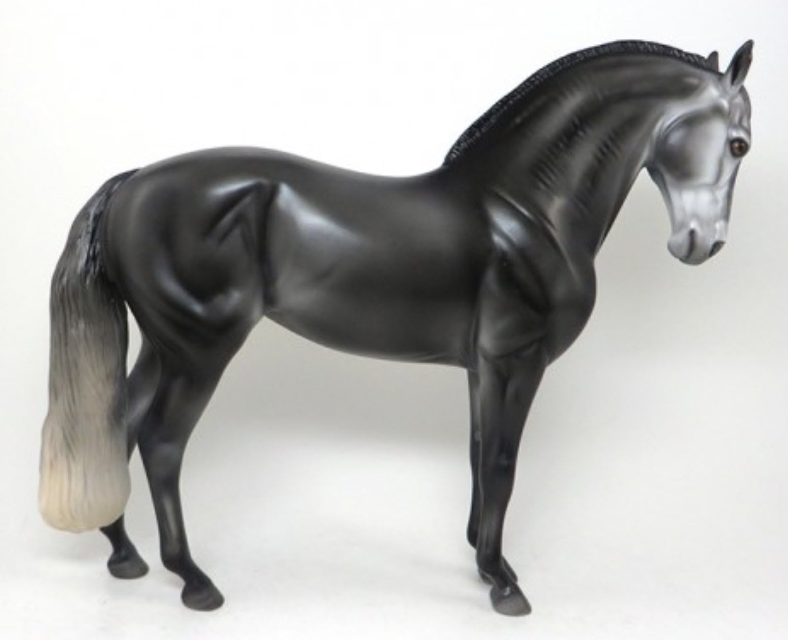 Jazzibelle | StoneHorseRef