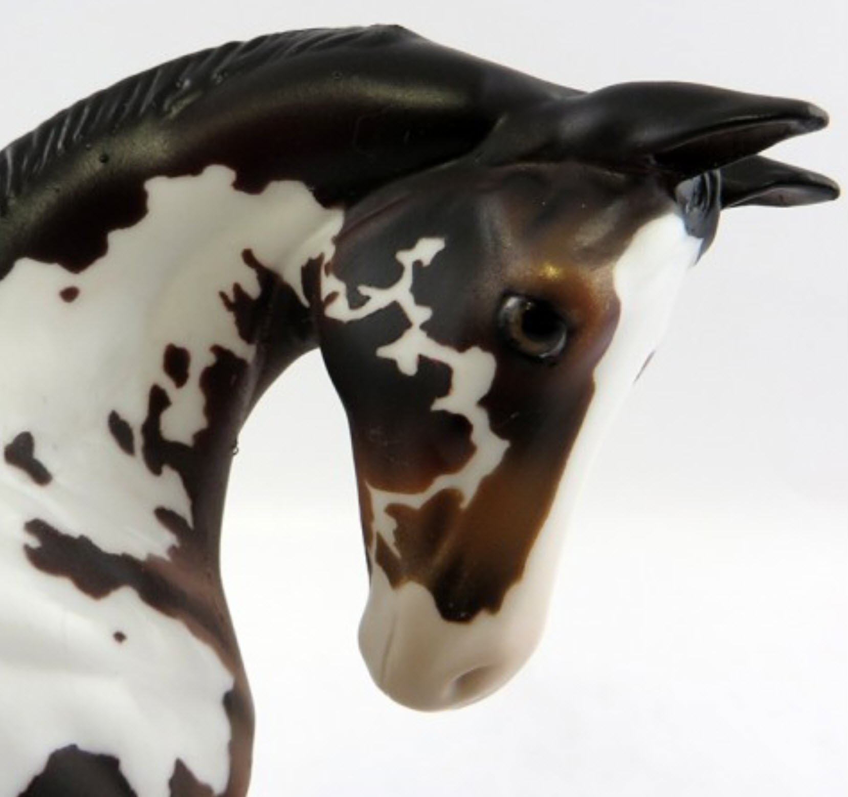 Merritt | StoneHorseRef