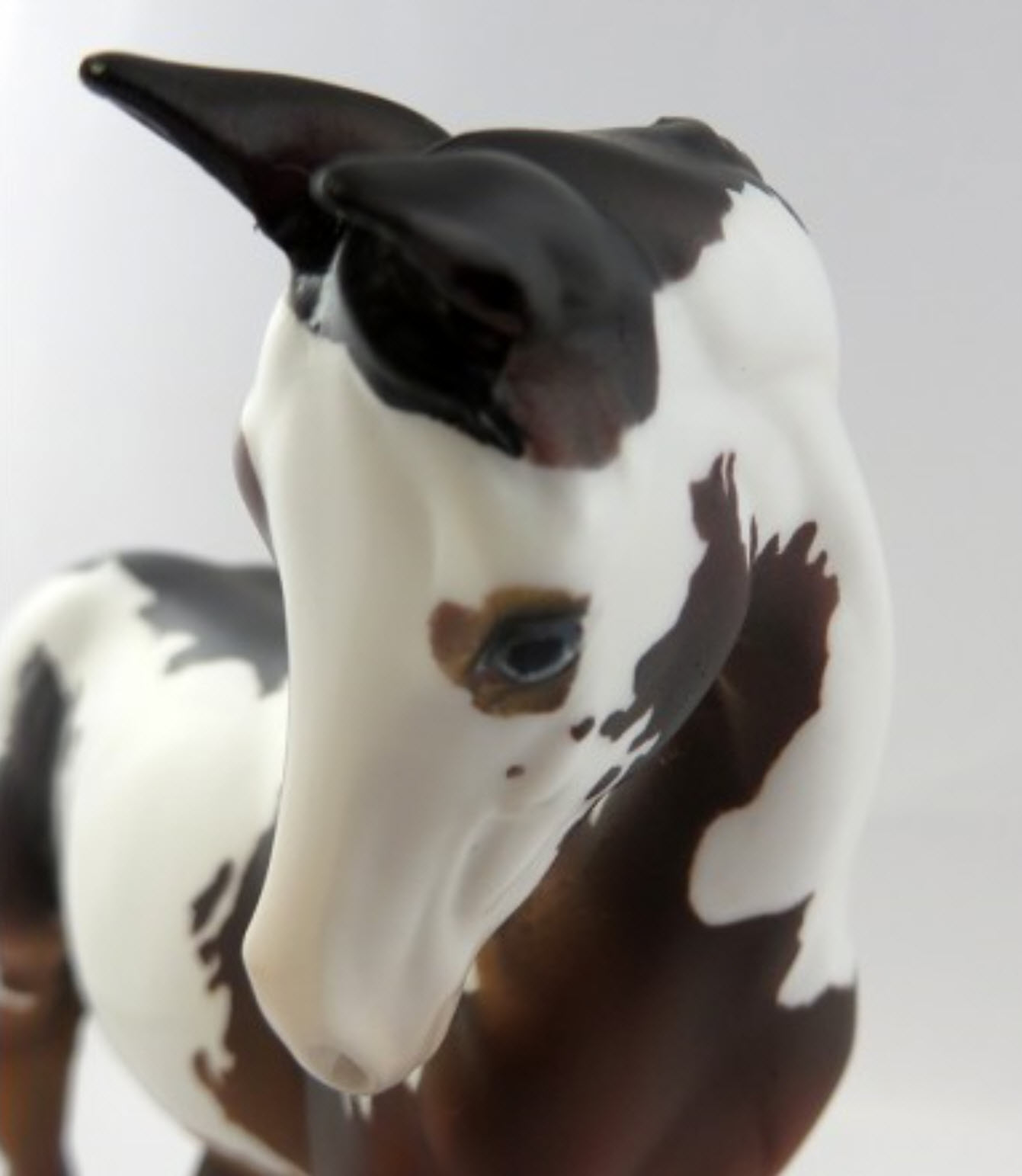 Merritt | StoneHorseRef