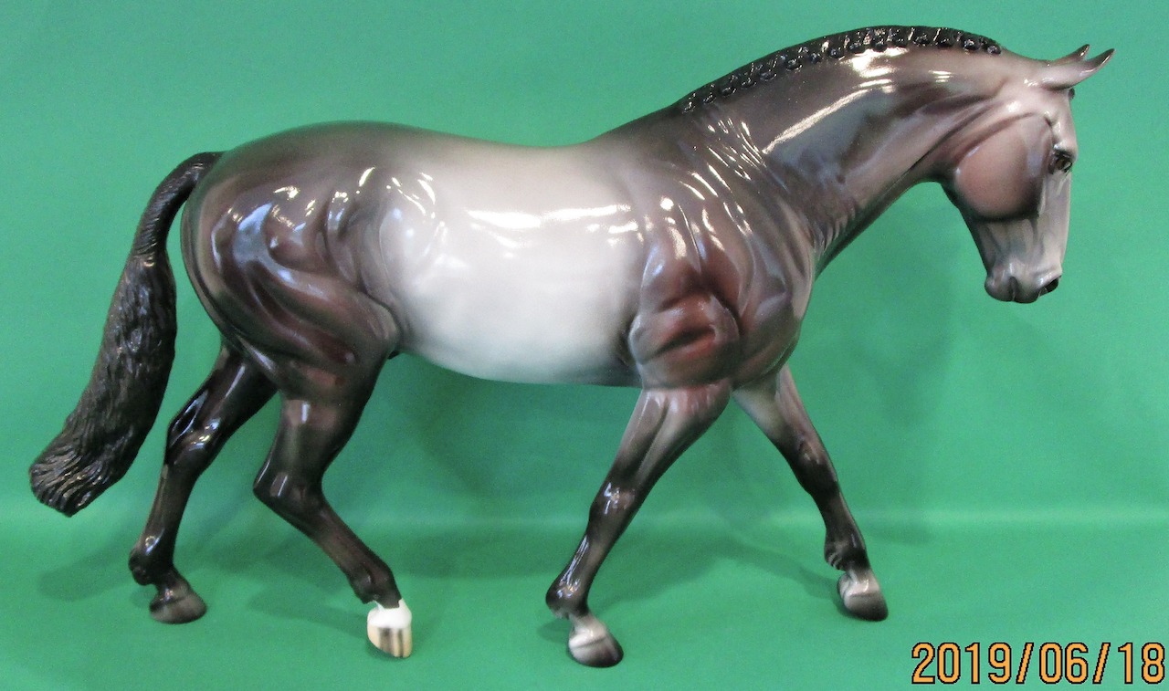 DAH ID Standard Irish Draught Stallion PM017 | StoneHorseRef