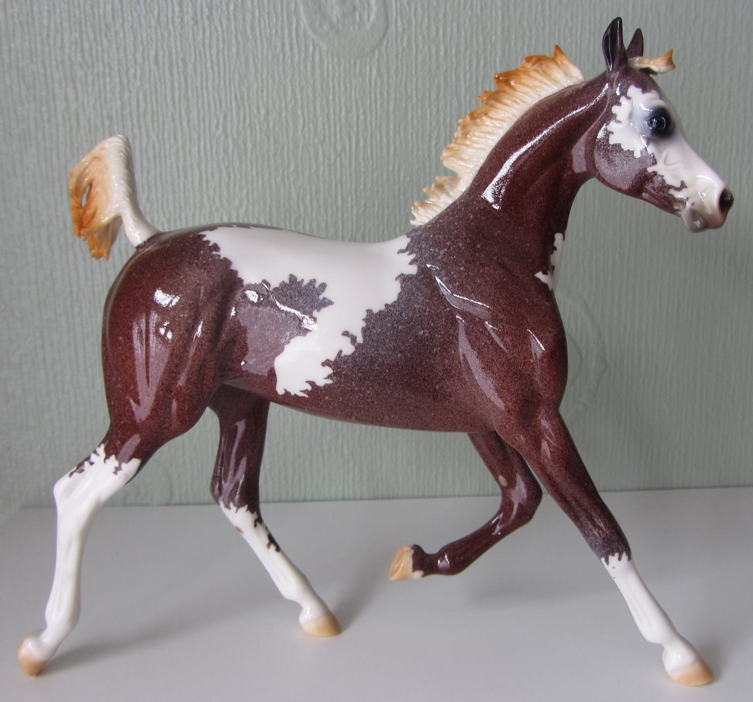 Mystery Roan Pinto Arabian Yearling | StoneHorseRef