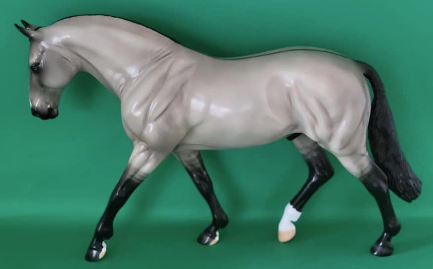 DAH ID Standard Irish Draught Stallion PM017 | StoneHorseRef